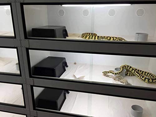 Leoterra Large Reptile Hide Snake Hide Reptile Hideout for Lizard Leopard Gecko Snakes and Ball Python Use Durable and Easy to Clean 10.23"x7.48"x2.75" (M)