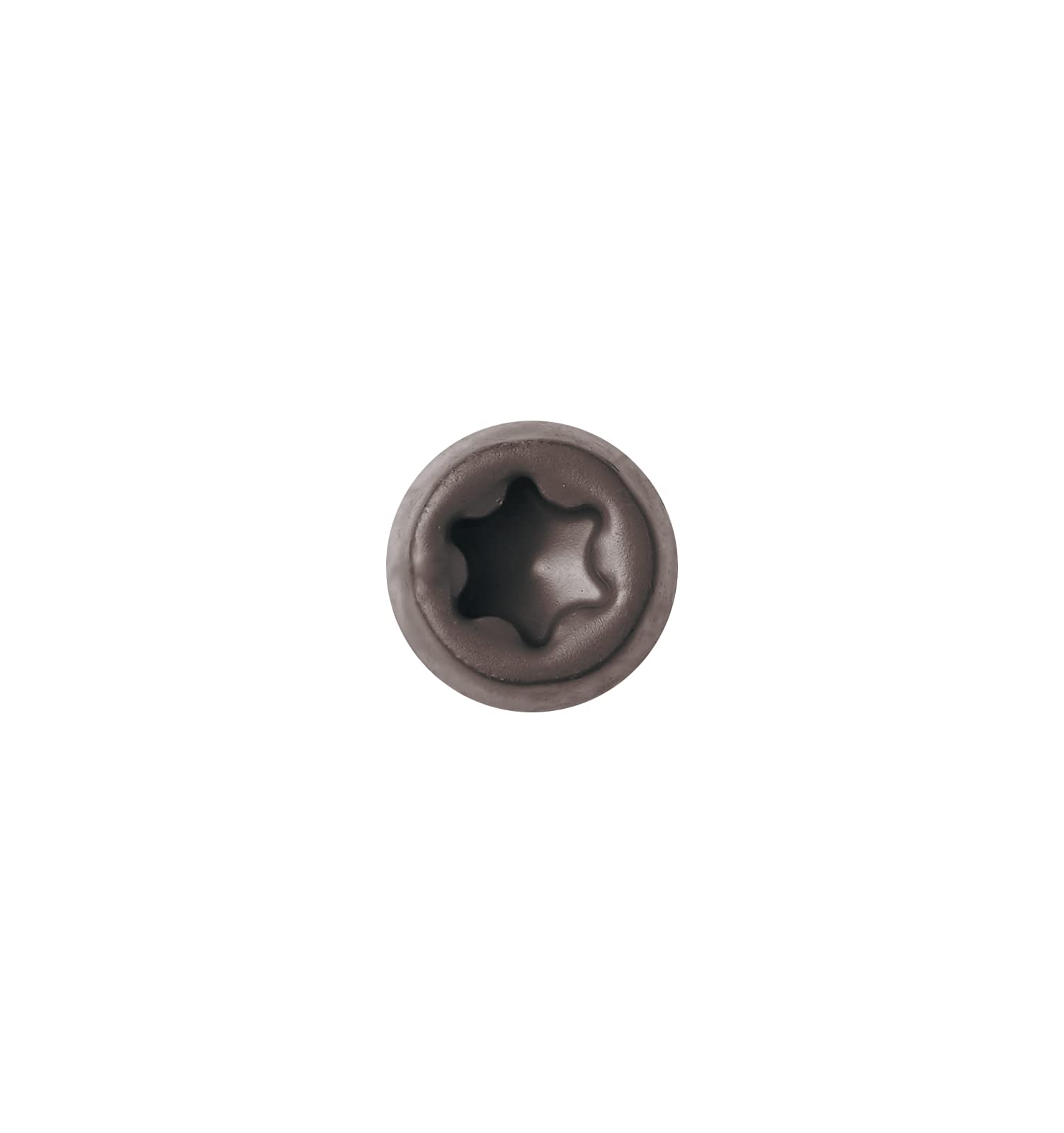 YYL,Composite Decking Stainless Steel Wood Screw, #10x2-1/2,Star Drive,Torx 20, Type 17 Slot Point,Wood Screw,1 Free Bit Included (#10x2-1/2, Dark Brown, 350)