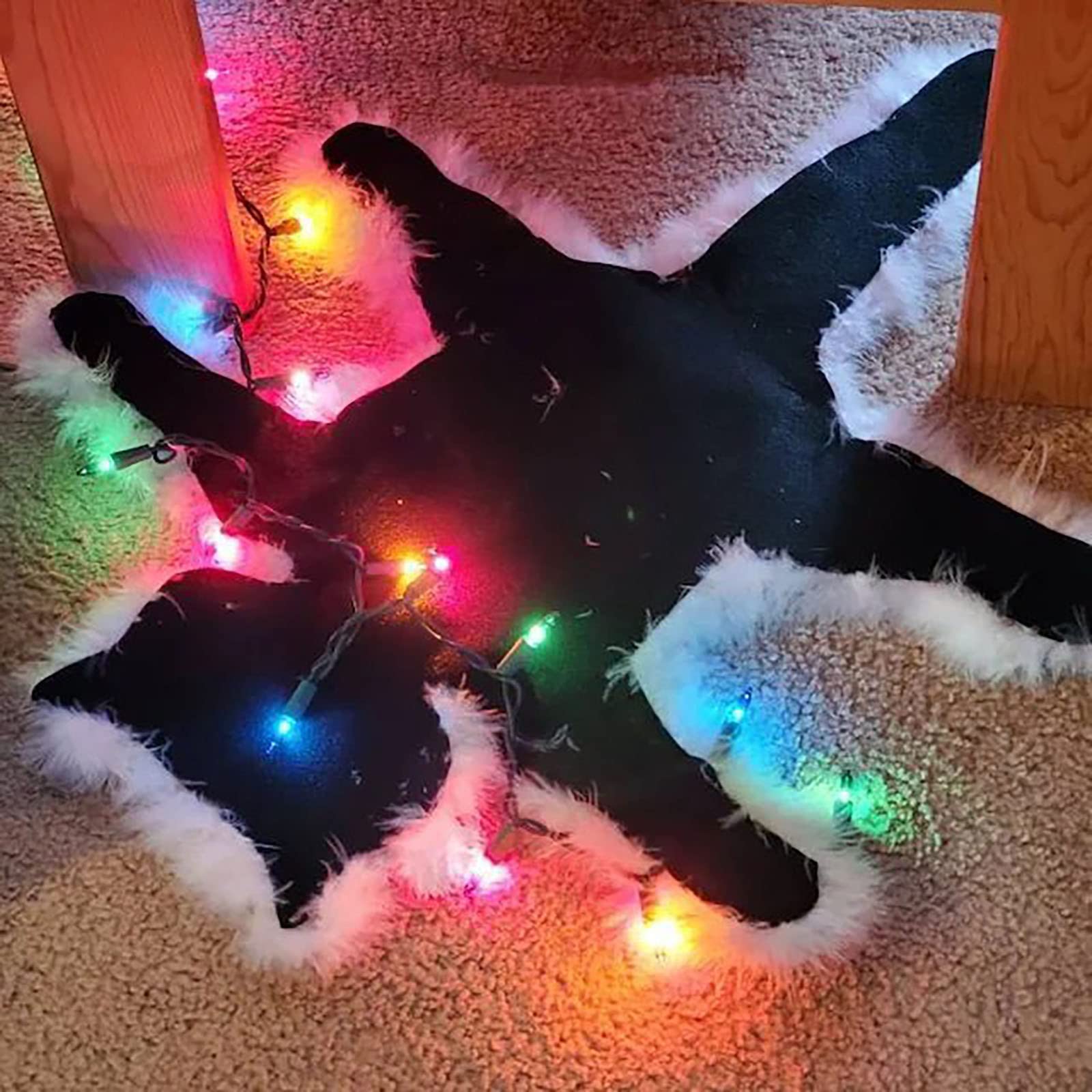 Seatdain Light Up Fried Cat Rug Christmas Vacation, Aunt Bethany’s Fried Pussycat Rug from National Lampoon Funny Christmas Decorations, Xmas Gift for Family Friends (Color Light)