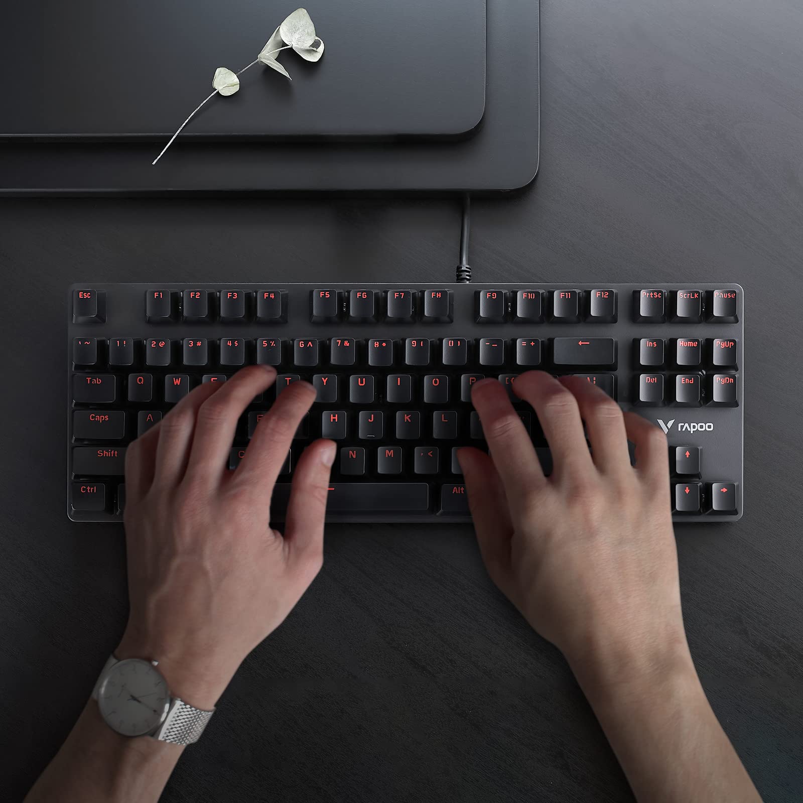 Mechanical Gaming Keyboard, RAPOO V500 Alloy Wired Keyboard with Black Switches for Game Players, Quick Response Gaming Keyboard, Anti-Ghosting Keyboard for Windows Gaming PC/Game Laptop, 87 Keys