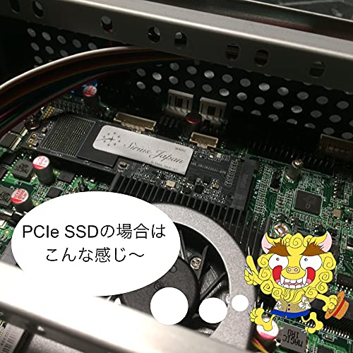 Sirius DSDPN-256G SSD 256GB PCIe NVMe
