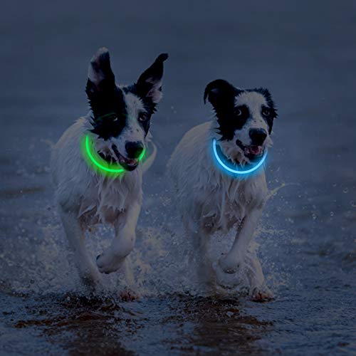 Novkin 2-Pack LED Dog Collar, Light Up Dog Collars,Rechargeable Dog Lights for Night Walking,Universal, Reusable Safety Necklace for Small Medium Large Dogs