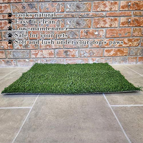 Artificial Dog Grass Pee Pad 20βx 25β 2Pack, Washable Indoor Potty Training Replacement Turf for Puppy, Reusable Realistic Grass for Dogs