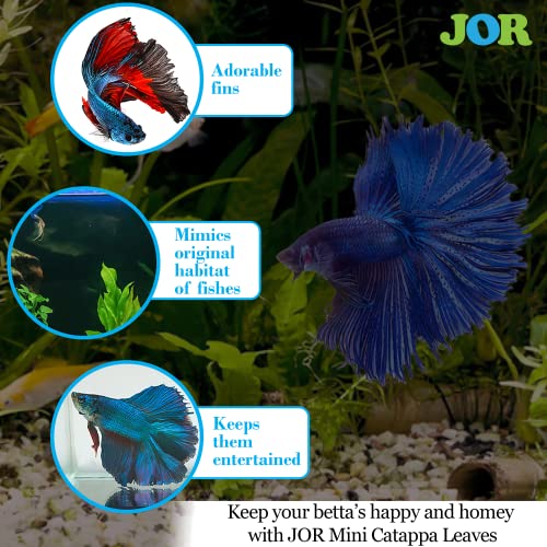 JOR Catappa Indian Almond Leaves, Fin Rot Treatment Betta Fish Water Conditioner Aquarium Leaves, Create Realistic River Habitat, Reduce Stress, Loved by Shrimp & Tropical Fish