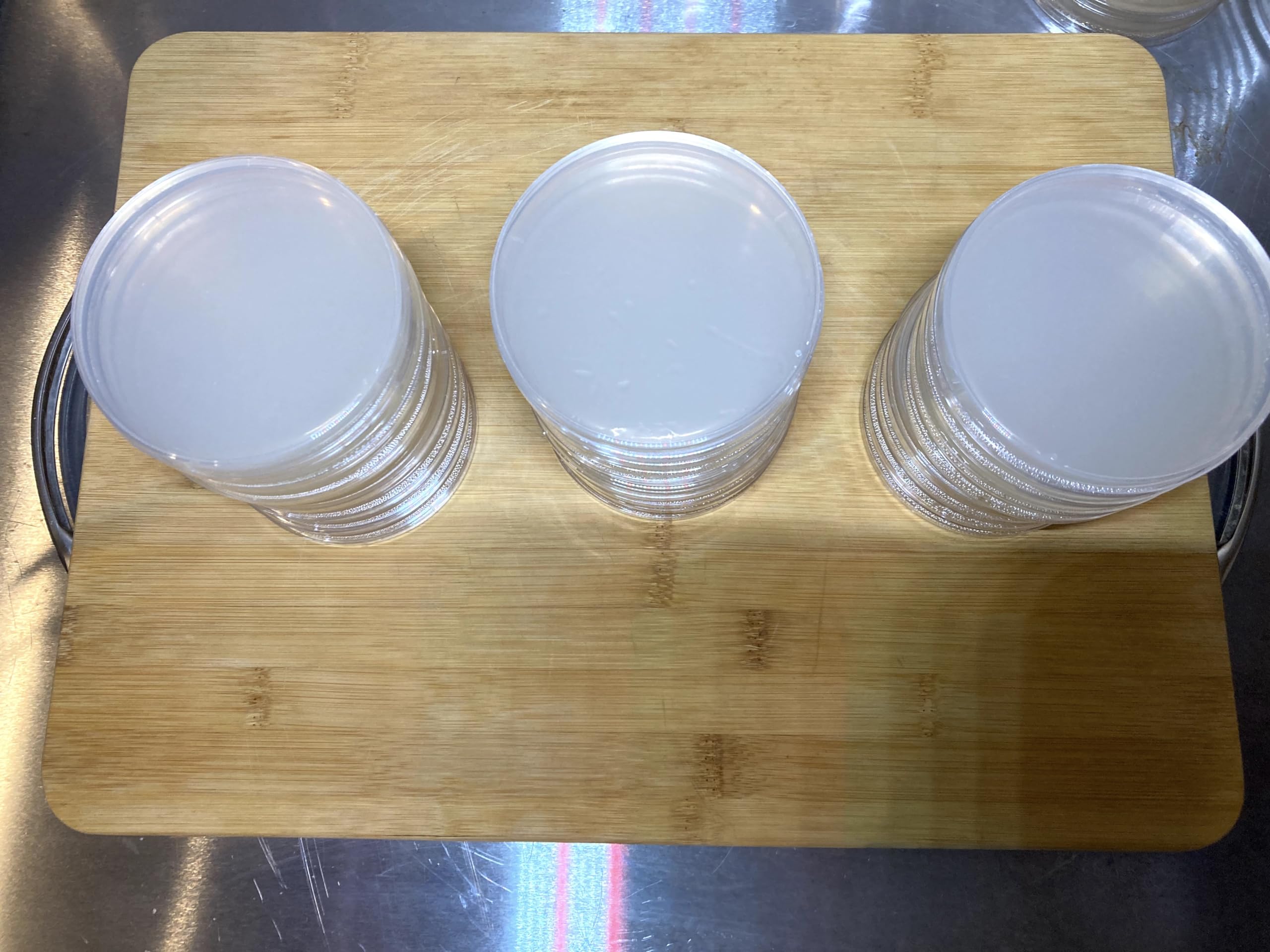 24 Agar Plate Pack - for Mycology and Biology with Malt Extract & Exclusive Galnut Micronutrients