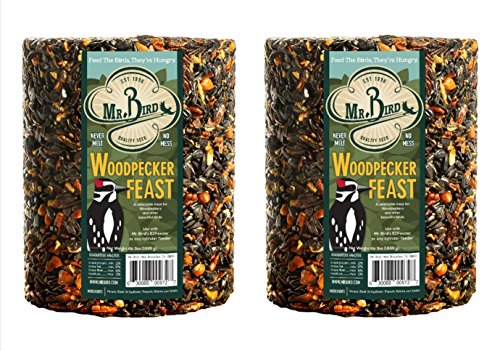2-Pack of Mr. Bird Woodpecker Feast Large Wild Bird Seed Cylinder 4 lbs. 2 oz.