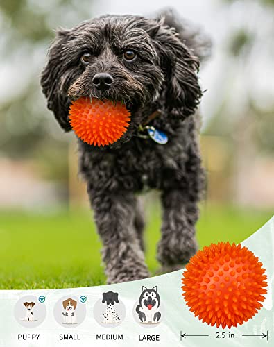 2.5" Squeaky Dog Balls for Small Medium Dogs, 6 Pack Small Dog Chew Toys with Spike, Puppy Toys for Teeth Cleaning and Training