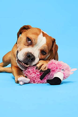 Barkbox Dog Rope Toys - Durable Tug Toys for Chewers, Puppy Teething, and Small, Medium, and Large Dogs | Bert of Paradise