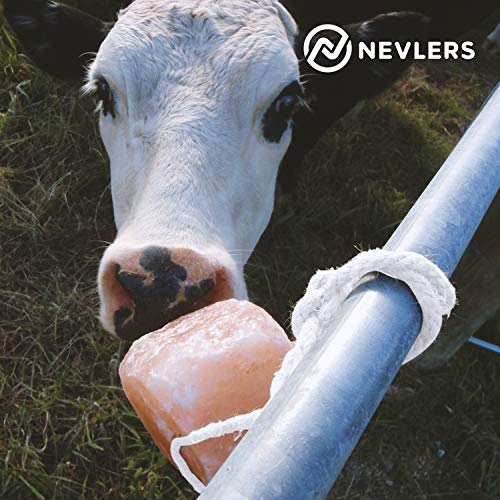 Nevlers 2 Pack Himalayan Salt Lick on Ropes for Animals -All Natural Pure Mineral Block - Himalayan Salt Block for Deer, Salt Block for Horses, Cows, & Other Livestock - 4.5-6 lbs Each