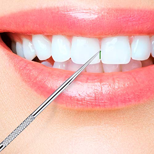 7Pcs 2 Set Portable Stainless Steel Toothpicks Pocket Set, Reusable Metal Toothpicks Cleaning Kit with Holder for Outdoor Picnic Camping Traveling β¦