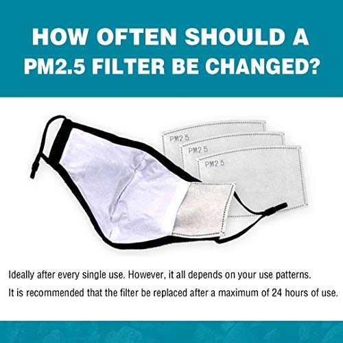 50 PCS PM 2.5 Filters Activated Carbon Filter Replaceable (50 pcs)