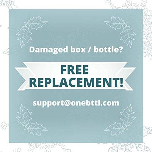 Onebttl Dolphin Gifts for Women, Dolphin Gifts For Christmas, Stainless Steel Glitter Bottle 17oz, Silver-Blue