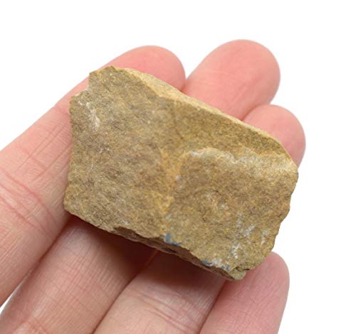 6PK Raw White Sandstone, Sedimentary Rock Specimens - Approx. 1" - Geologist Selected & Hand Processed - Great for Science Classrooms - Class Pack - Eisco Labs