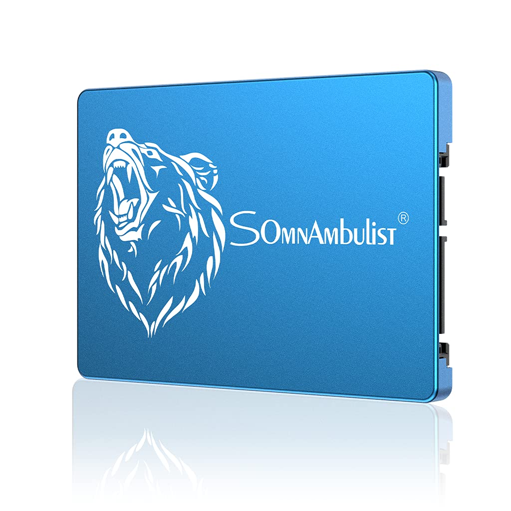 Somnambulist Laptop/Desktop SSD 2.5" SATA3 120gb 240gb 60gb SSD Solid State (Blue Bear-120GB)