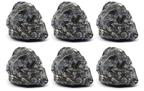 6PK Raw Gabbro, Igneous Rock Specimens - Approx. 1" - Geologist Selected & Hand Processed - Great for Science Classrooms - Class Pack - Eisco Labs