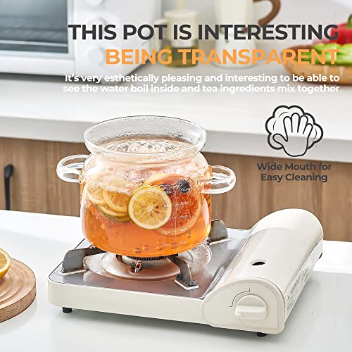 3-Quart Glass Stock Pot,Glass Pitcher,Stockpot, Stew Pot, Simmering Pot, Soup Pot with Lid, Dishwasher Safe