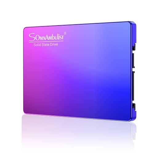Somnambulist SSD 60gb 120gb 240gb Sata3 Solid State Drive Internal SSD (Gradient Blue purple-60GB)