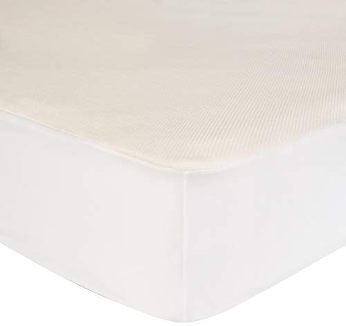 Amazon Basics Conscious Series Cool-Touch Rayon Bamboo Mattress Protector - Queen