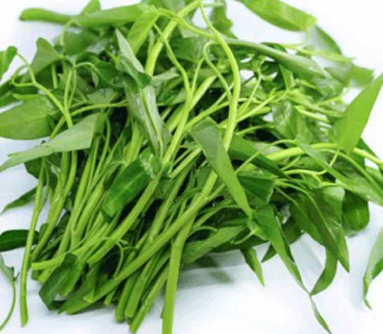 2000+ Seeds Kangkong Seeds - Rau Muong, Ong Choy, Brown - Chinese Spinach - Cong Xin CAI Seeds, kangkung Seeds for Planting