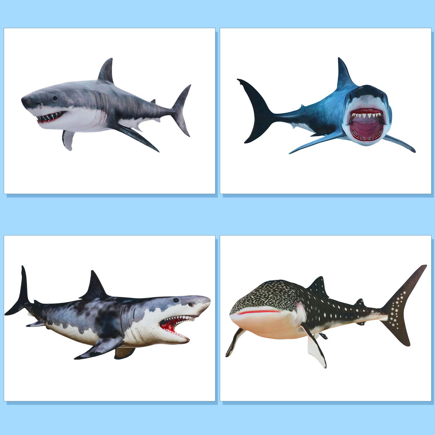 8 Pieces of Sharks Wall Stickers Peel and Stick Shark Wall Decals Sharks Removable Shark Decorations Sea Creature Animal Decal for Party Room Nursery Home Decor