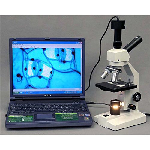 AmScope D120-MS Dual-View Compound Monocular Microscope, 40X-1000X Magnification, Brightfield, 1.25 NA Abbe Condenser, Mechanical Stage