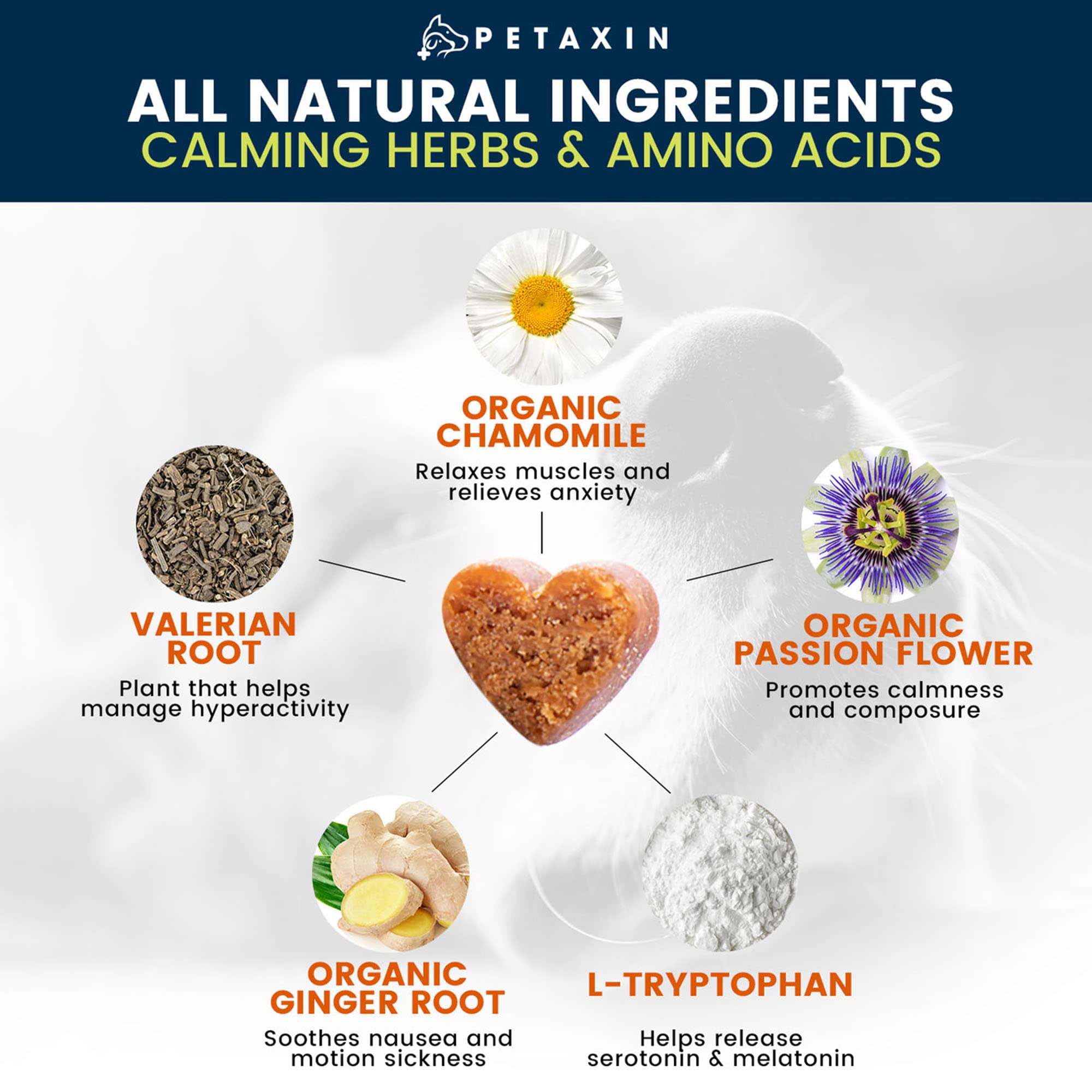 2 Pack Petaxin Calming Treats for Dogs - Stress & Anxiety Relief for Dogs - Supports Calm & Relaxed Behavior - Calming Chews for Dogs with Chamomile, Ginger, & More for Barking, Fireworks - 240 Chews