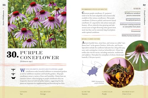 100 Plants to Feed the Bees: Provide a Healthy Habitat to Help Pollinators Thrive