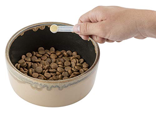 Azestfor Anti-Inflammatory Green Lipped Mussel for Dogs Powder