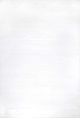 nuLOOM Faux Rabbit Soft Solid Shag Area Rug, 4' x 6', White