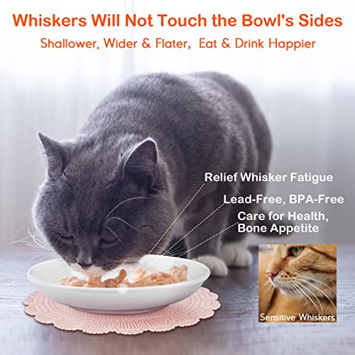 ๐ฎ๐ฌ๐ฎ๐ฏ ๐๐๐ Anti Whisker Fatigue Cat Bowls, Healthy Ceramic Cute Flat Cat Food Bowl for Indoor Cats, Cat Dishes Shallow Wide Cat Plates for Wet Food, Small Whisker Friendly Pet Cat Feeding Bowls