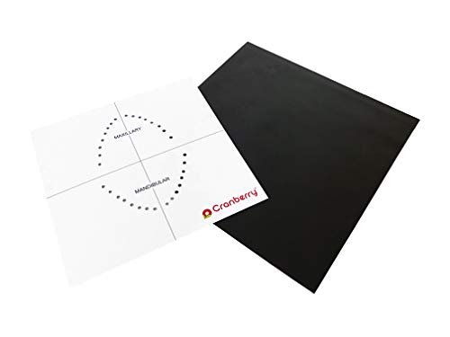 Cranberry USA CR8266 Carbon Dental Dam Latex Powder-Free, Spearmint Scented, 6x6, Black (Pack of 36)