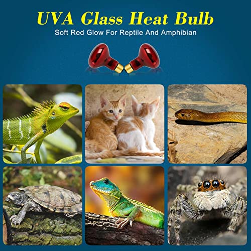 HANJION 2 Pack Reptile Red Light Bulb 75W Reptile Infrared Basking Spot Lamp of Bearded Dragon Light Bulbs for Reptile & Amphibian