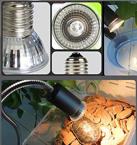 75W Sun Basking Lamp Full Spectrum Sunbathe Reptile Heat Lamp Growing Bulbs for Turtles Lizards 6 Pack