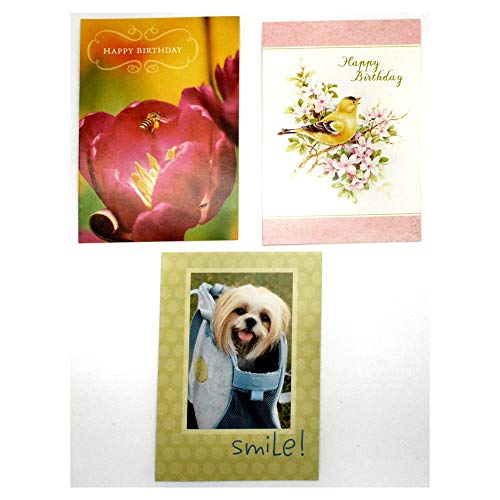 50 Assorted Everyday All Occasion 5 by 7 Greeting Cards with Envelopes, 34 Birthday, 4 Sympathy, 4 Blank, 2 Thank You, 2 Get Well, 2 Thinking of You, and 2 Anniversary Congratulations