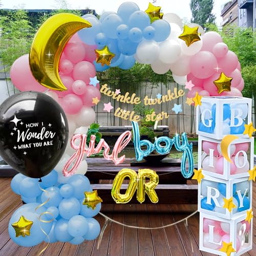191 PC Twinkle Twinkle Little Star Gender Reveal Decorations - Includes Gender Reveal Balloon Arch Garland & GIRL BOY Balloon Boxes & Gender Reveal Balloon and More – Gender Reveal Ideas