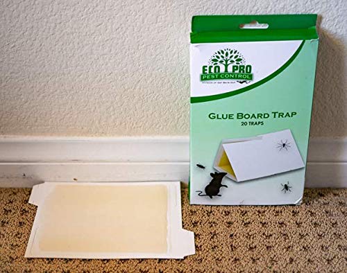 20-Pack Glue Traps by Eco Pro Pest Control | Non-Toxic Glue Traps for Bugs, Cockroaches, Ants, Spiders, Crickets, & Mice | Max Adhesive Strength Mouse Glue Trap | Indoor & Outdoor Pest Glue Traps