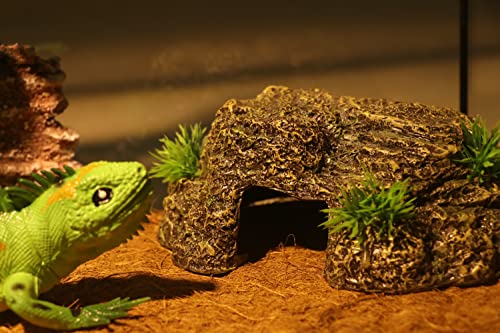 AQUA KT Reptile Cave Hide Natural Hiding Place for Terrarium Amphibian Lizard Snake Bearded Dragon Frog Leopard Terrestrial Gecko Cave