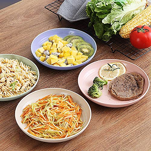 DeeCoo 10 Inch Wheat Straw Deep Dinner Plates - Microwave and Dishwasher Safe, Unbreakable Sturdy Plastic Dinner Plates - Set of 6 - Healthy Cereal Dishes/Kids-toddler & Adult