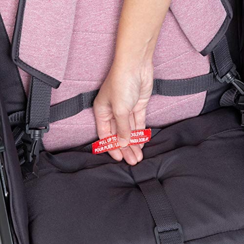 Baby Trend Tango™ Stroller Travel System with Ally™ Infant Car Seat, Cassis