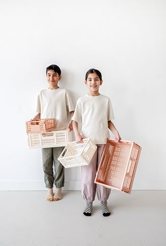 3 Sprouts Recycled Plastic Collapsible Crate - Stackable Folding Storage Crate for Organization for Adults & Kids - Foldable Plastic Crate - Large - Cream