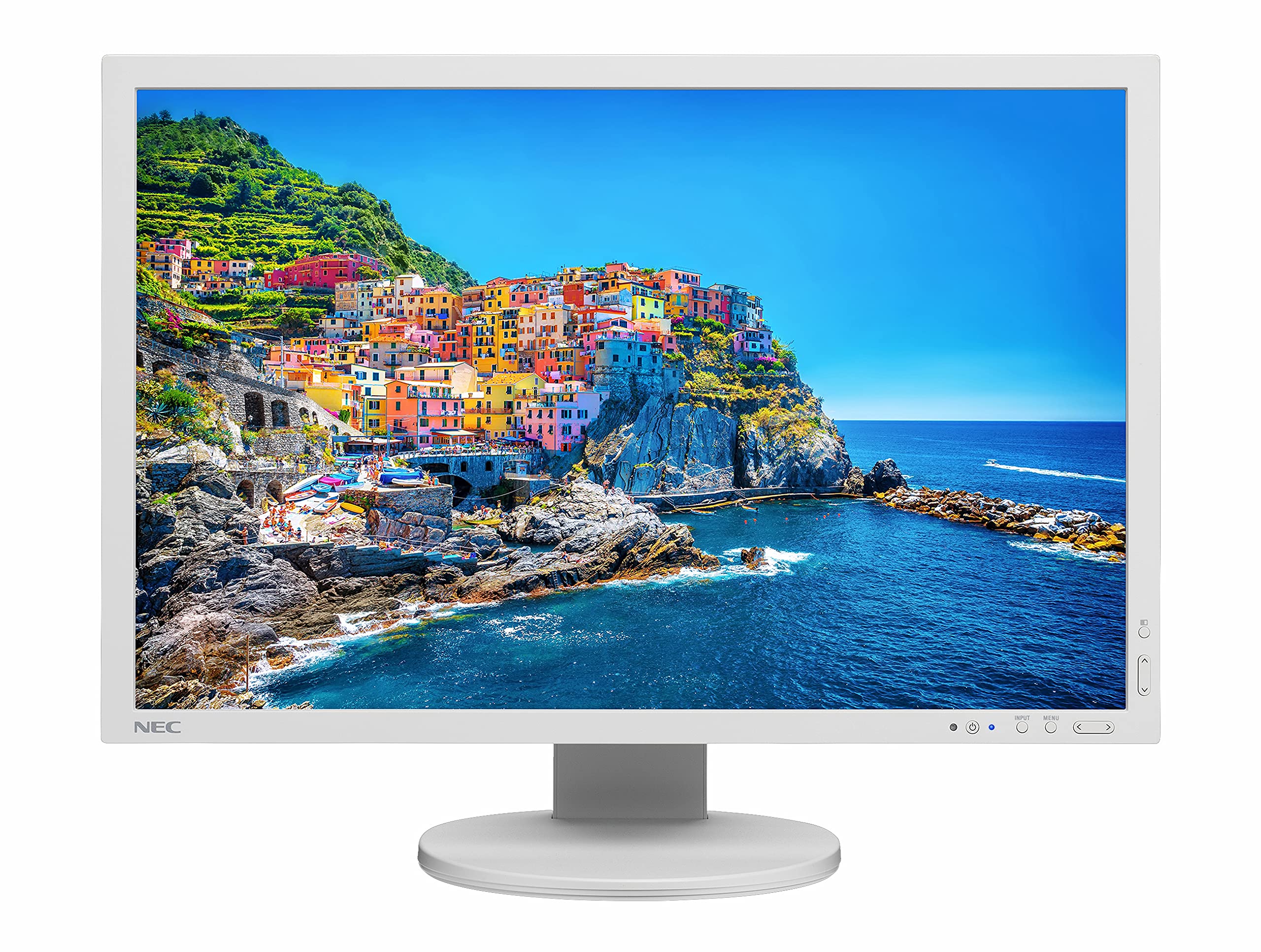 24IN WS LCD 1920X1200 PA243W DP