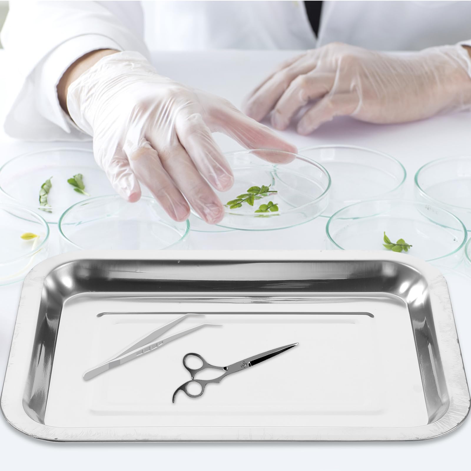 ULTECHNOVO 4pcs Wax Dissecting Tray Stainless Steel Thicken Dissection Pan Biological Equipment for Junior Senior School Laboratory