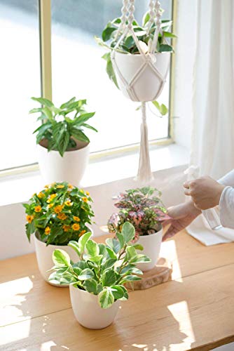 Mkono 3 Pack Macrame Plant Hangers with Pots, 35"/29"/23" Indoor Different Size Hanging Planter Basket Flower Pot Holder with Saucers & Hooks No Tassels (Plastic Flower Pots Included), Medium, Ivory