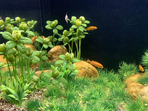 BEGONDIS Artificial Green Water Plants Flower Set 18 Pcs, Fish Tank Aquarium Decorations, Made of Soft Plastic