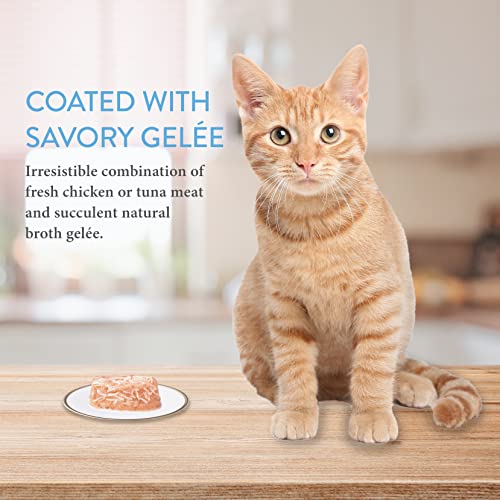 INABA Twins for Cats, Grain-Free Shredded Chicken & Broth Gelée Side Dish/Complement/Topper Cups, 1.23 Ounces per Serving, 19.68 Ounces Total (16 Servings), Tuna & Chicken with Salmon Recipe