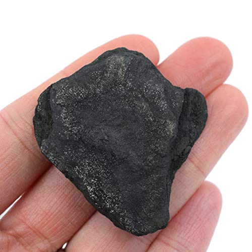 6PK Raw Anthracite Coal, Metamorphic Rock Specimens - Approx. 1" - Geologist Selected & Hand Processed - Great for Science Classrooms - Class Pack - Eisco Labs
