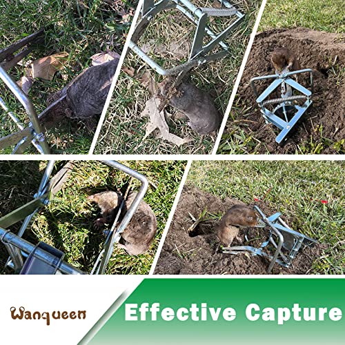 2 Pack Mole Traps That Kill Best, Scissor Mole Traps for Lawns Vole Traps Outdoor Use, Mole Trap Easy to Set Galvanized Steel Reusable Quick Capture Gopher