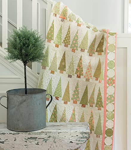 2023 That Patchwork Place Quilt Calendar: Includes Instructions for 12 Projects