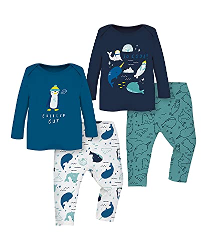 WINK & BLINK Artic Explorer Organic Baby Playwear Setss, 2-Pack Top & Bottom Set, 100% Organic Cotton Baby Clothes 9M