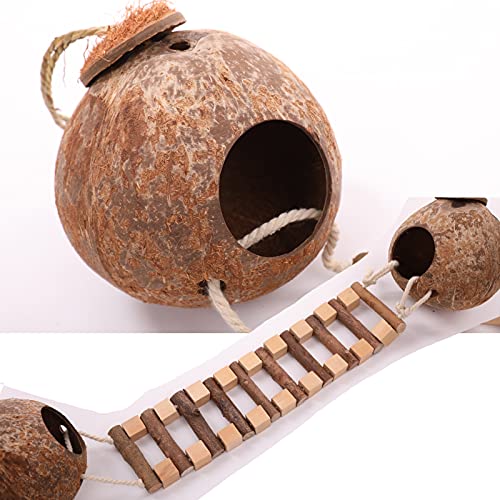 Coconut Bird Nest with Ladder for Parrots Parakeet Conures Lovebird Cockatiel Finch Canary, Small Animals Hideaway Hut, Coconut Shell Bird Cage Toy, Natural Coconut Squirrel House Hanging Loop